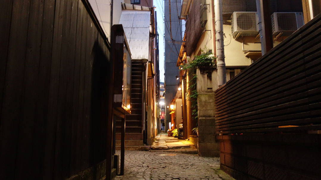 The scenic alleys in Shinjuku(1) - Tokyo walking tour | Easy Japanese ...